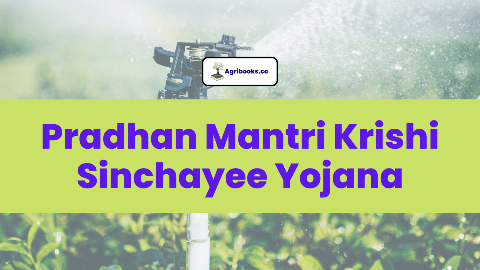 Pradhan Mantri Krishi Sinchayee Yojana (PMKSY) - Agri Books