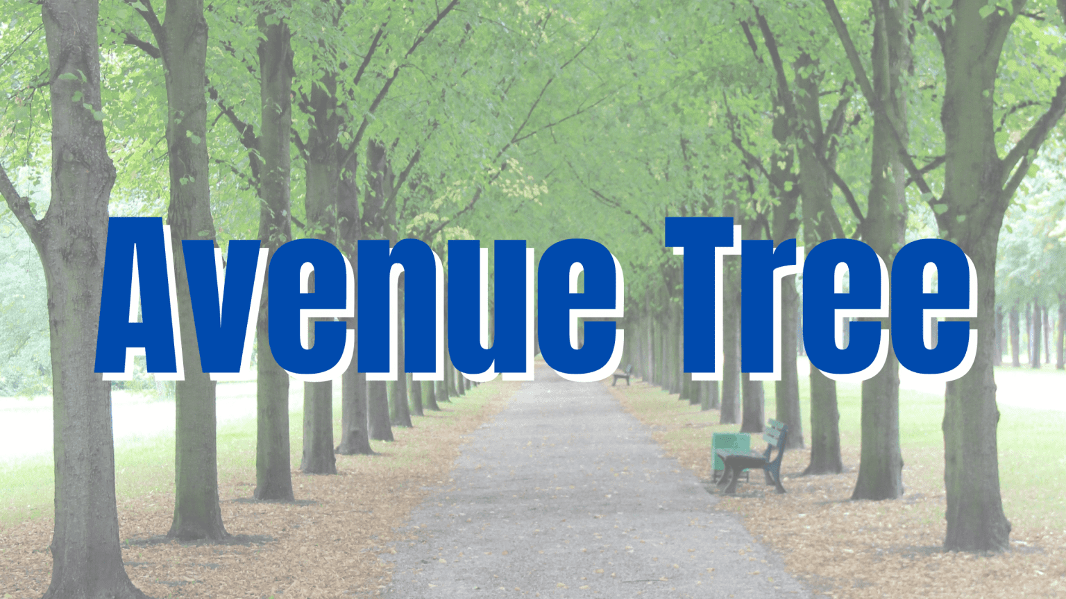 Avenue Trees of India | History and Importance - Agri Books