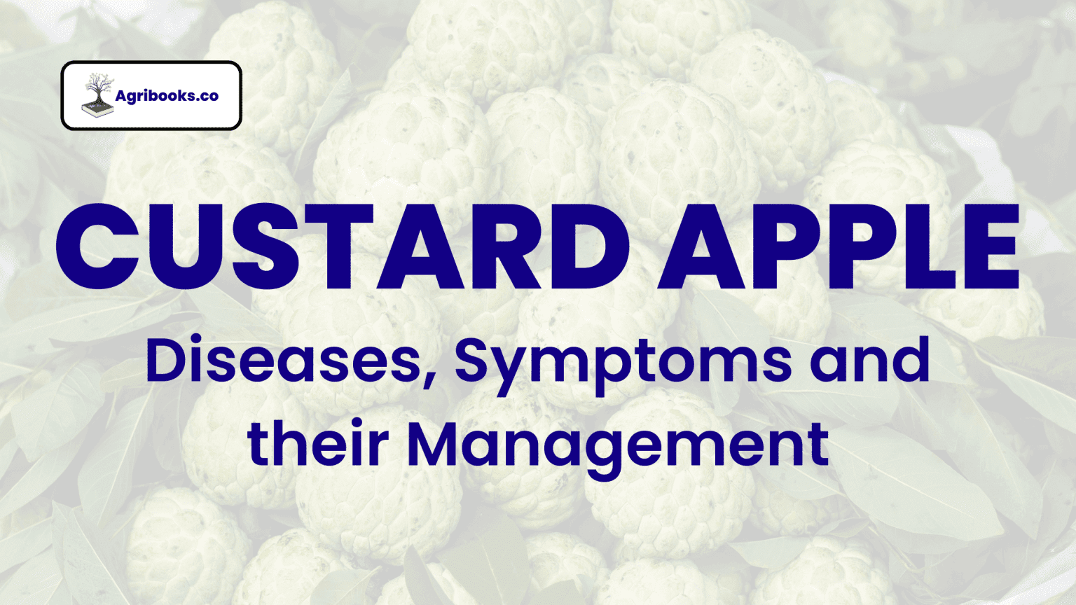 Custard Apple: Diseases, Symptoms and their Management - Agri Books Custard Apple: Diseases, Symptoms and their Management - Agri Books
