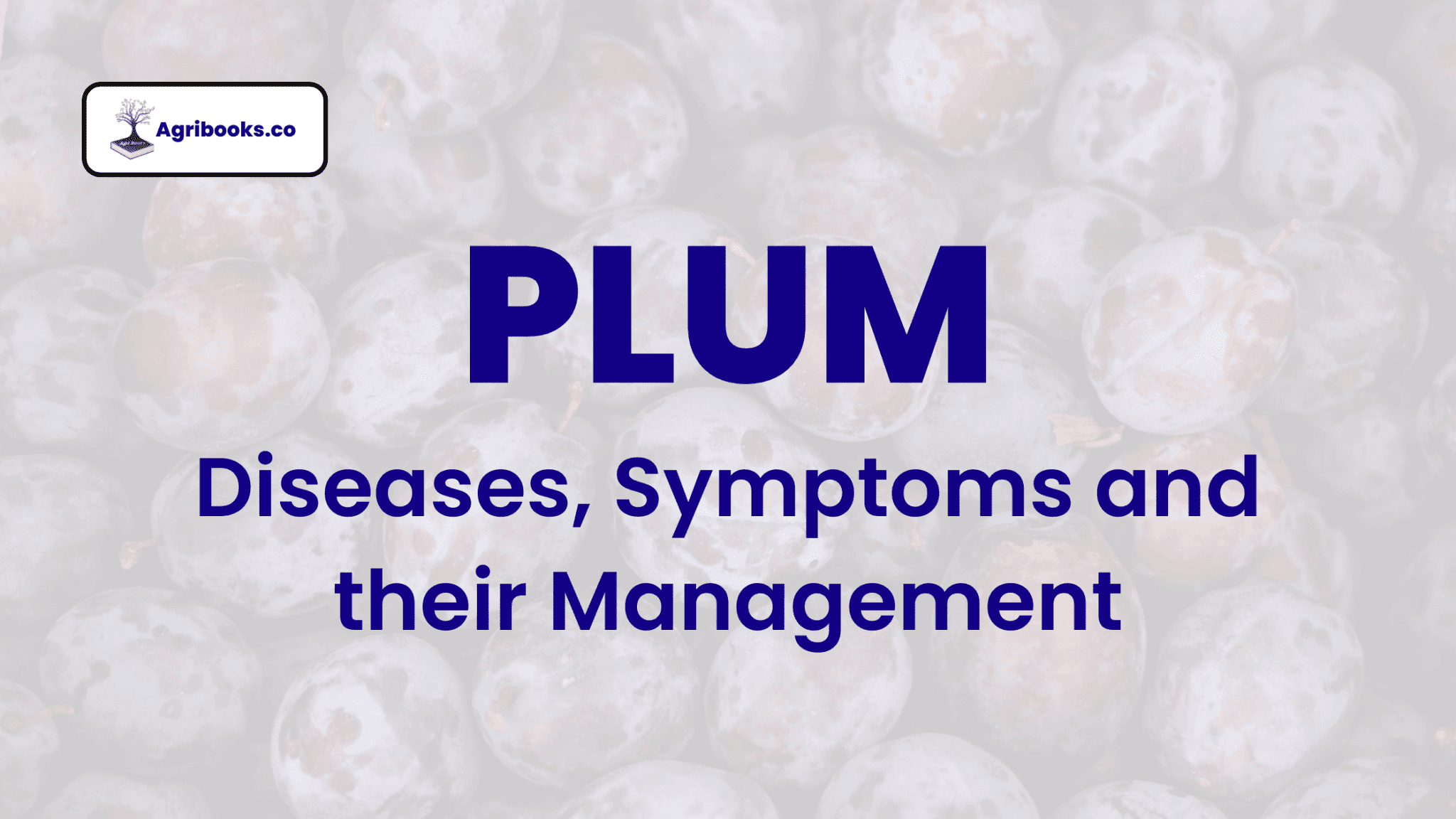 Plum: Diseases, Symptoms and their Management - Agri Books