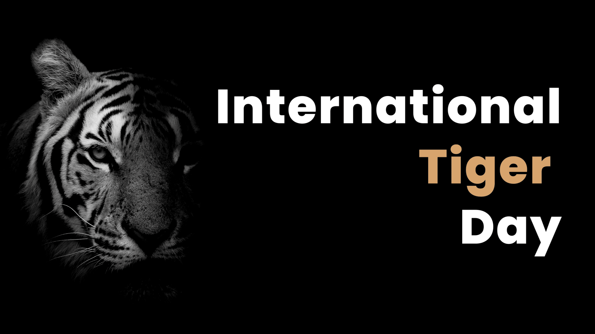 International Tiger Day 2023; Significance and History - Agri Books